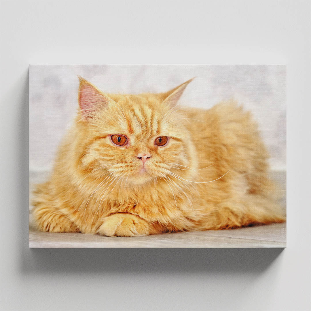 Cuadro Decorativo de Gato Color Miel #35 135 X 90