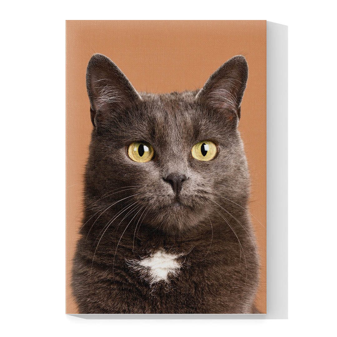 Cuadro Decorativo de Gato Gris con punto Blanco #506 135 X 90