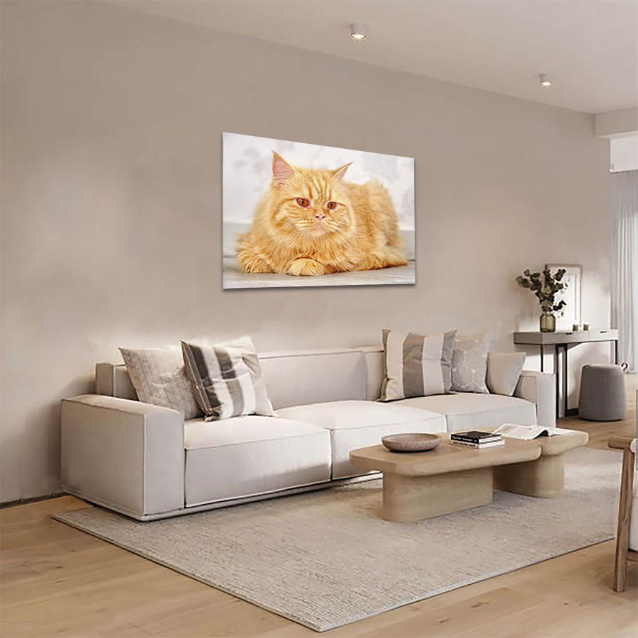 Cuadro Decorativo de Gato Color Miel #35 90 X 45