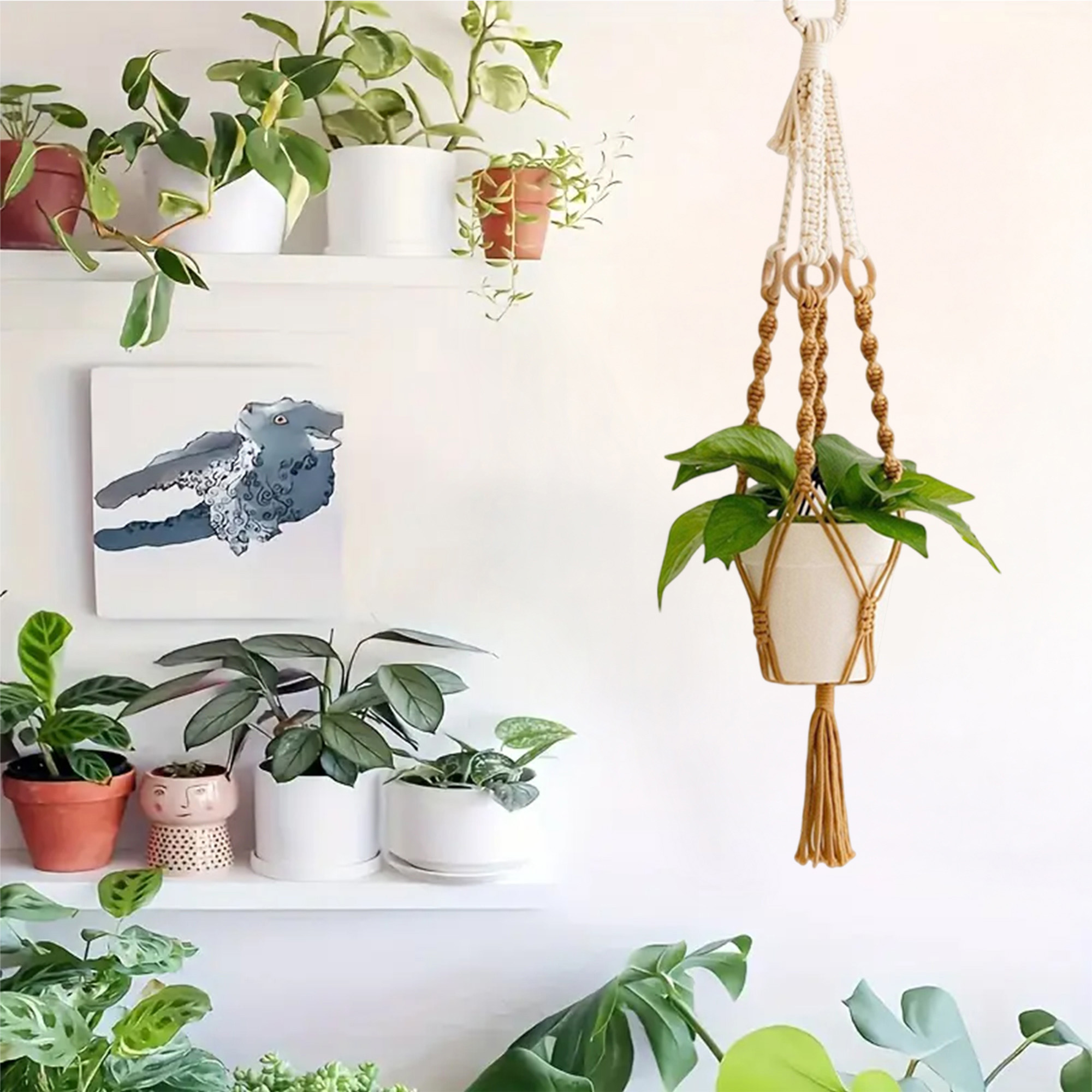 Ilios Innova | Colgante Decorativo Boho Café para Maceta, soporte ...