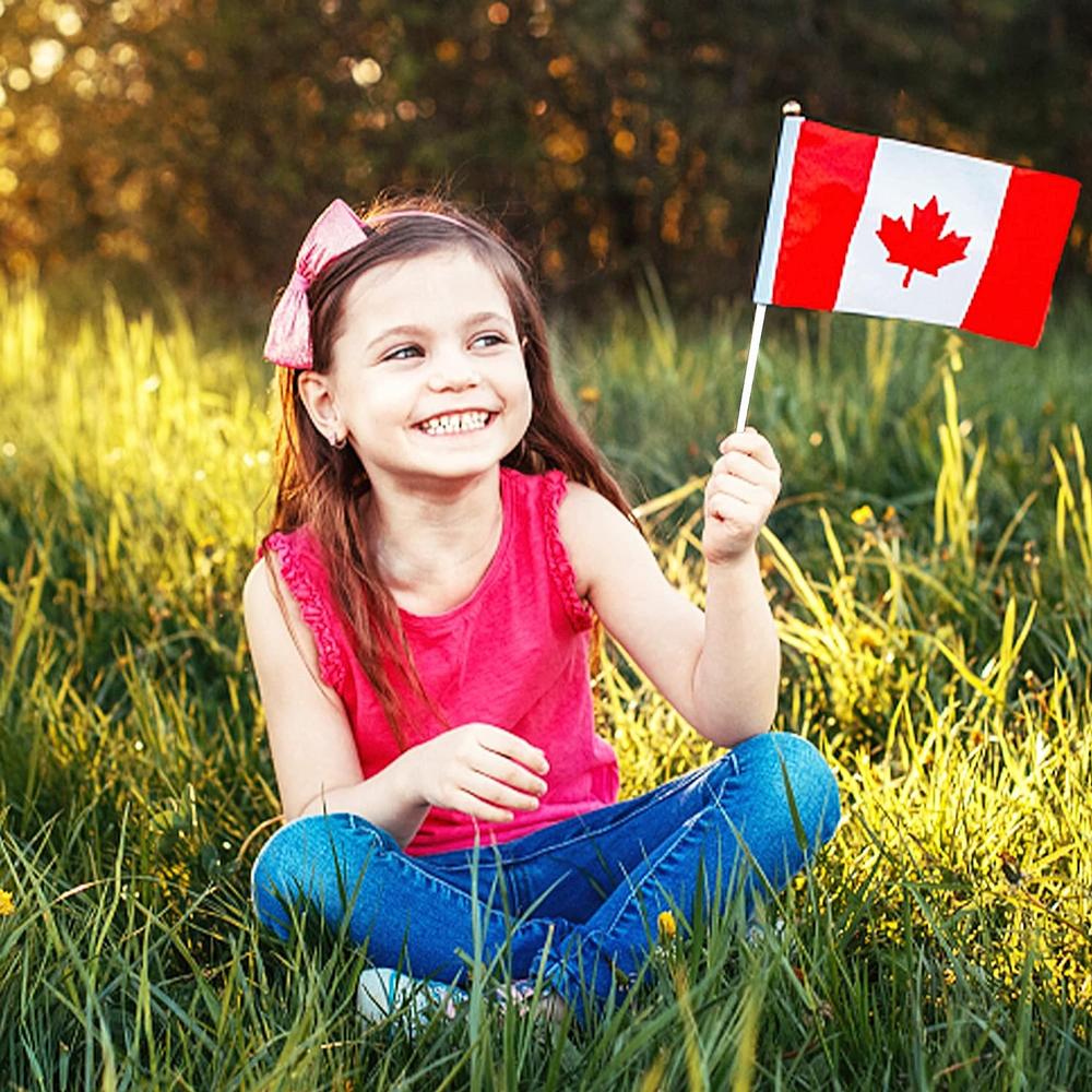 Mini Banderas del Mundo MXCAF-002 10Pzas Canadá 14x21cm Tela Poliéster ...